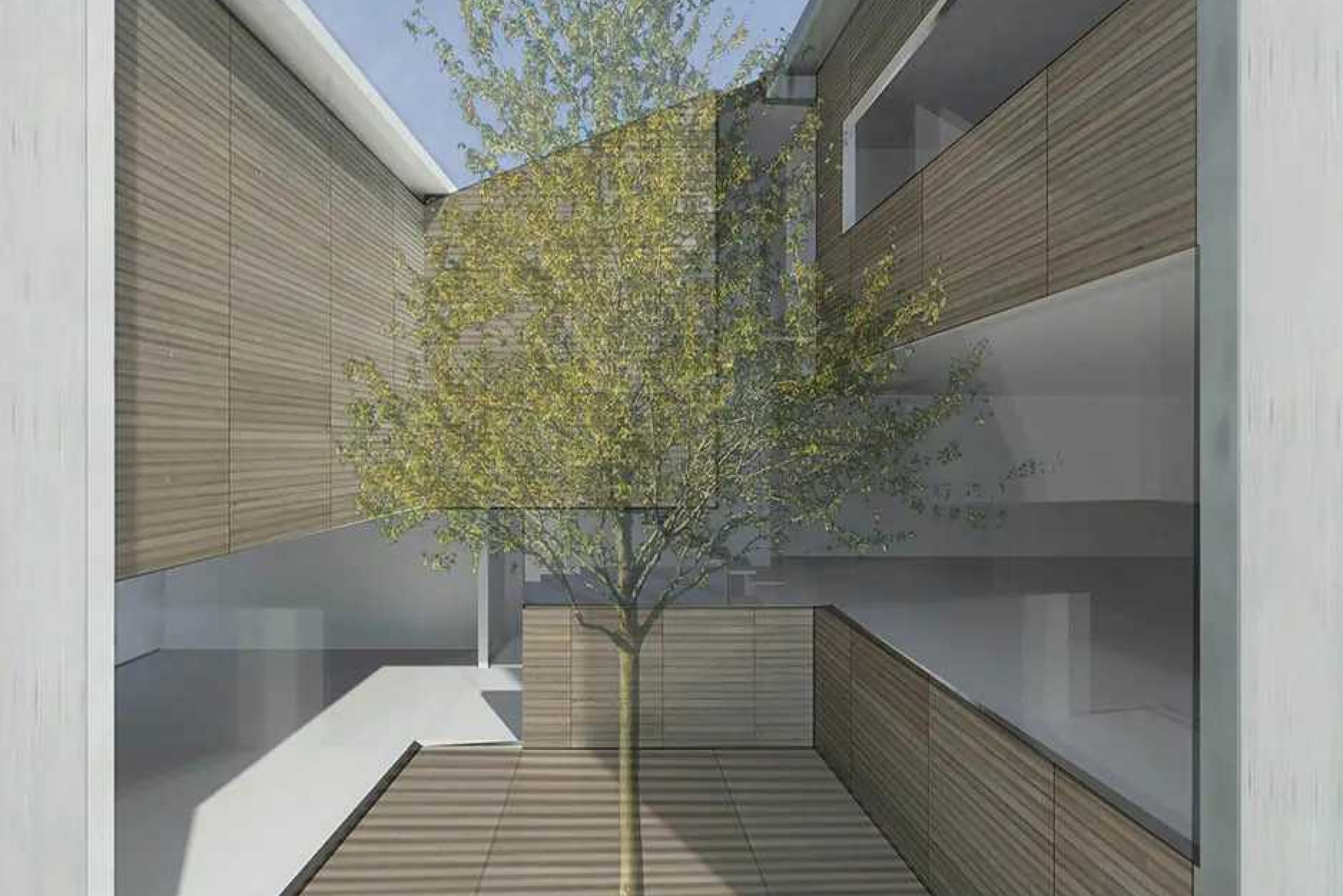 Needle House - Mitsuori